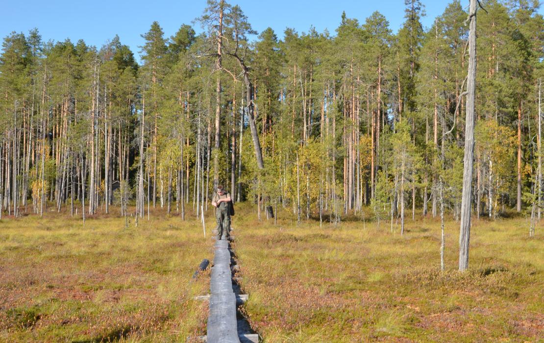 Hauttuvaara - Kylä Ilomantsin kunnassa | Taistelijan Talo